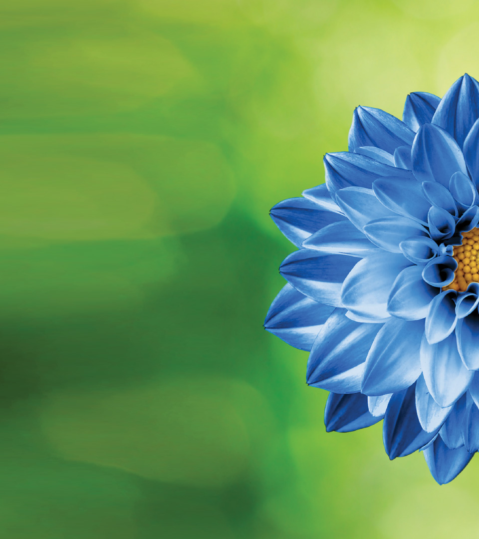 DEPA | Public Gas Company SA | Official Website